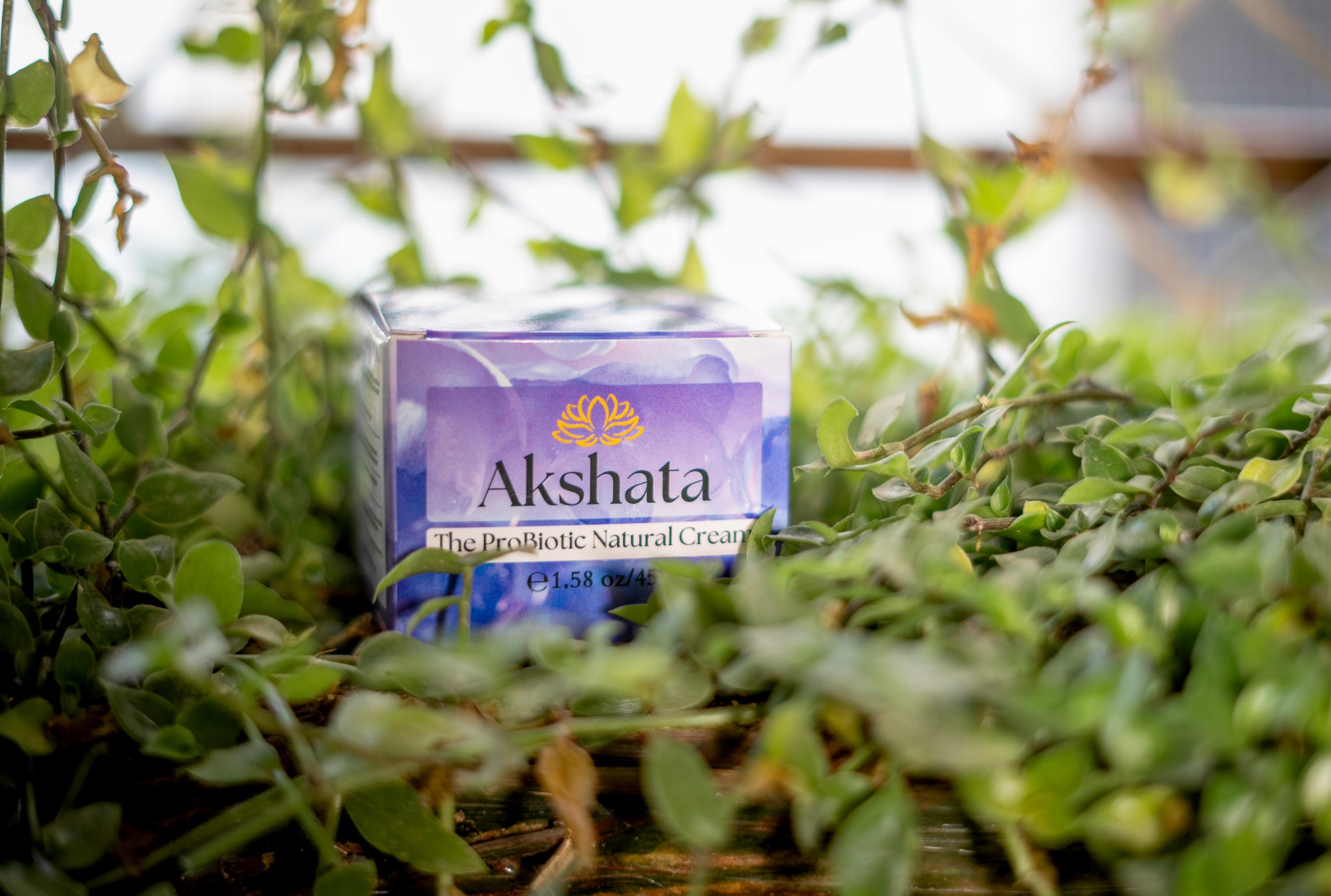 Akshata: The Probiotic Natural Cream – Prameela Life Sciences