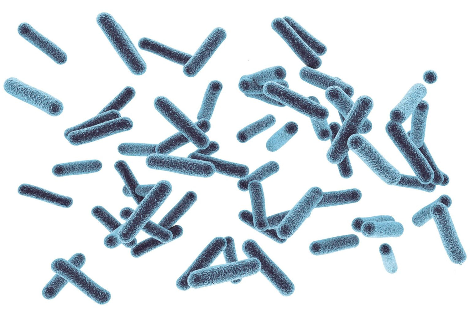 Prameela Life Sciences